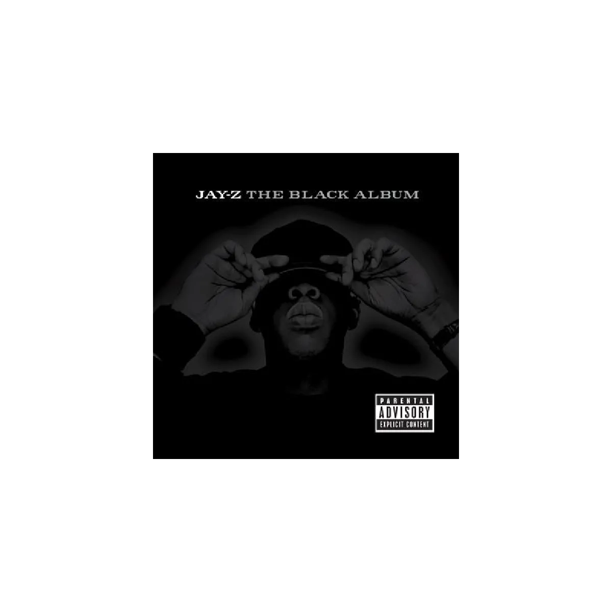 Def Jam Recordings The Black Album - Vinyles - Rue du Commerce