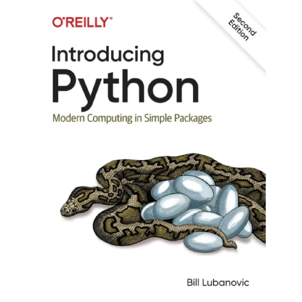 Introducing Python - Informatique - Rue du Commerce