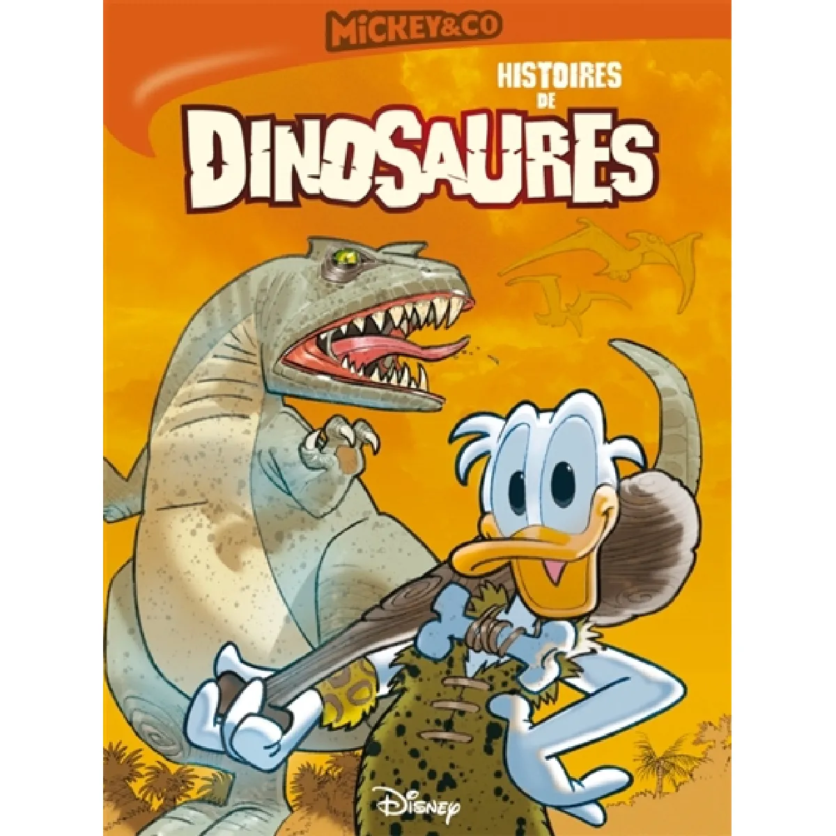 Histoires de dinosaures · Occasion - Eveil et premières lectures - Rue ...