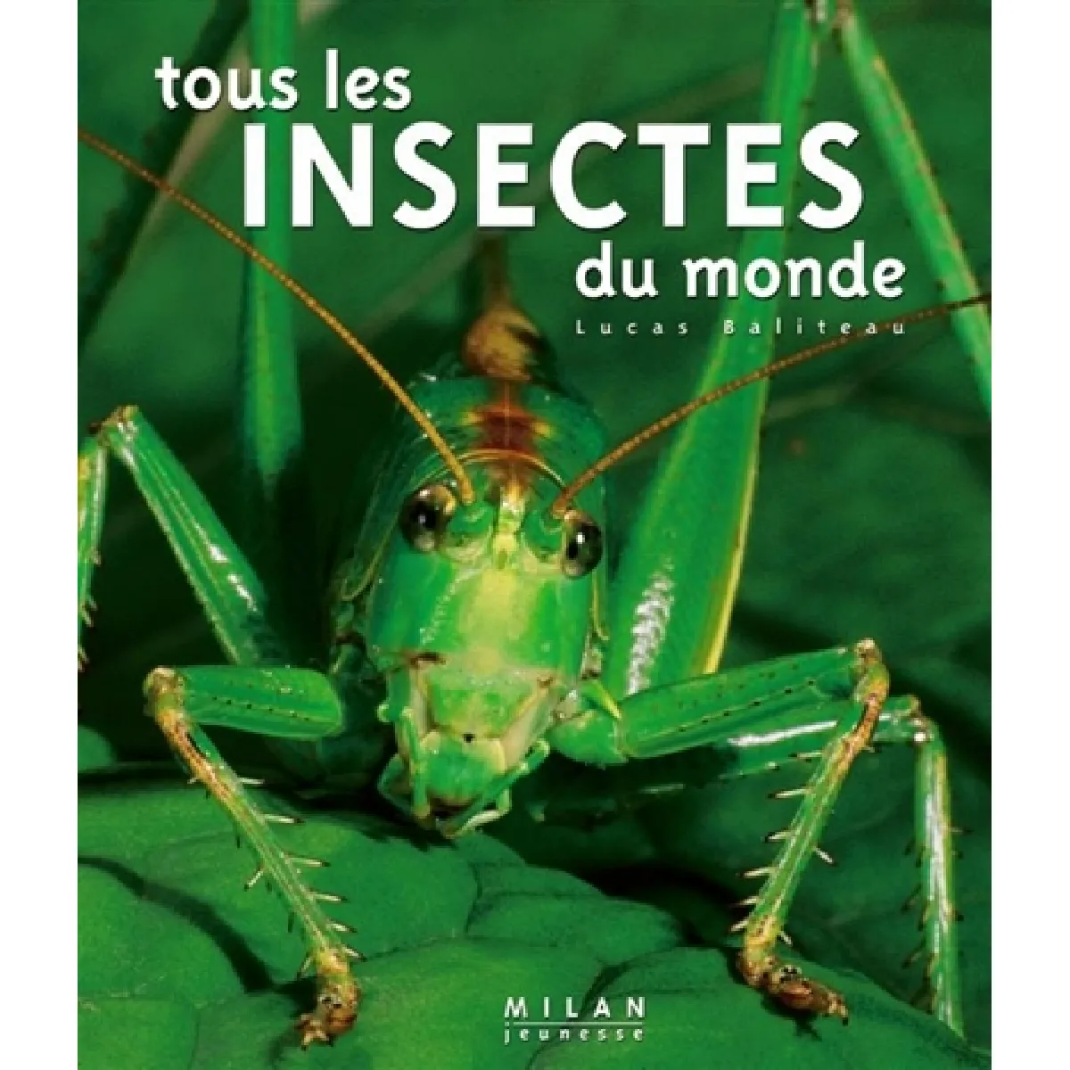 Tous les insectes du monde · Occasion - Documentaires - Rue du Commerce