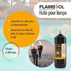 Hoefer Chemie Huile de Lampe Ultra-Pure FLAMBIOL® 1 L - Inodore et ...