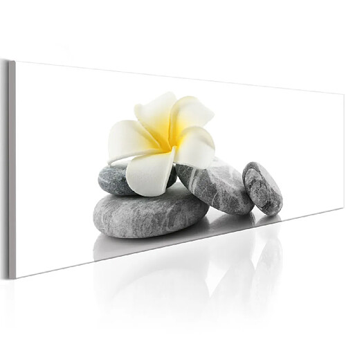 Paris Prix Tableau Imprimé White Lotus 50 x 150 cm - Tableau & peinture ...